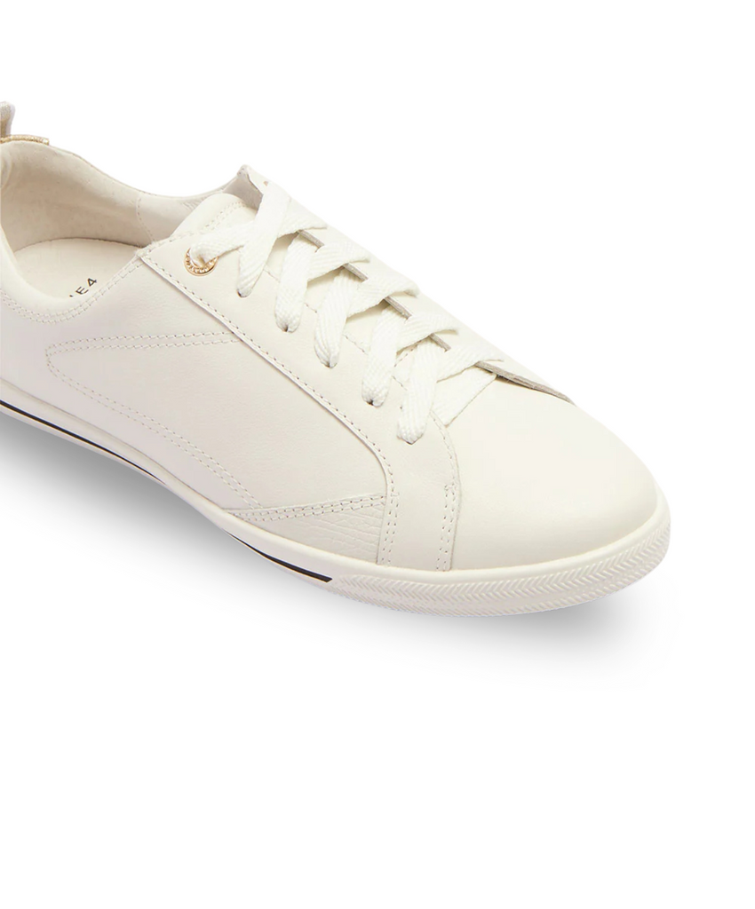 Frankie4 Asher White Gold Sneaker – Bstore